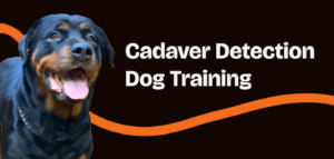Cadaver Detection Dog Training - Progressive Canines