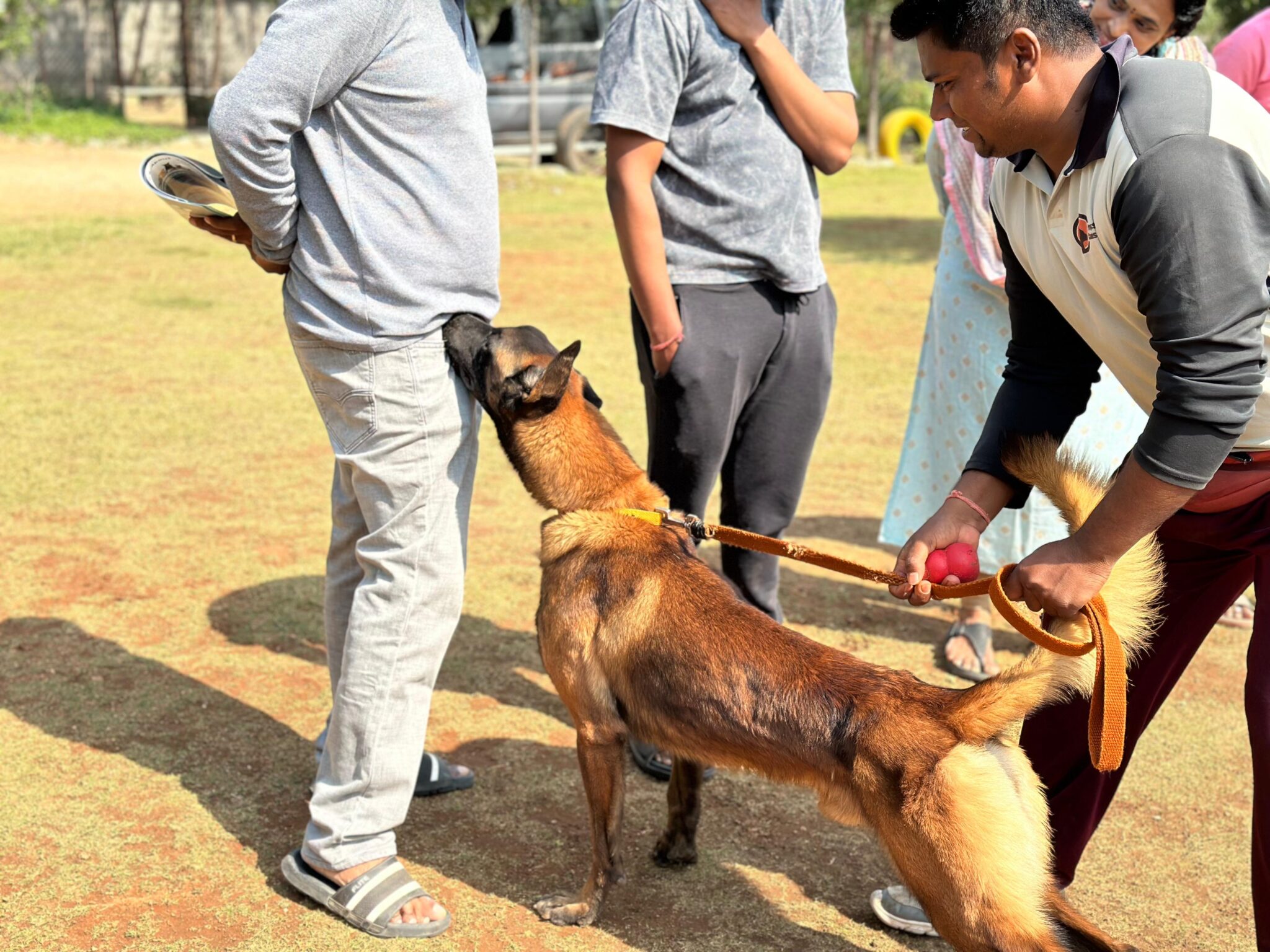 Narcotics Detection Dogs: Strengthening Safety Across Campuses and ...